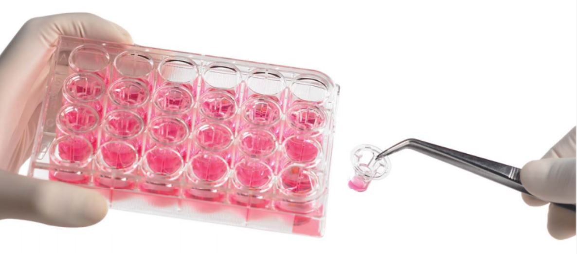 产品详情页-Corning/康宁